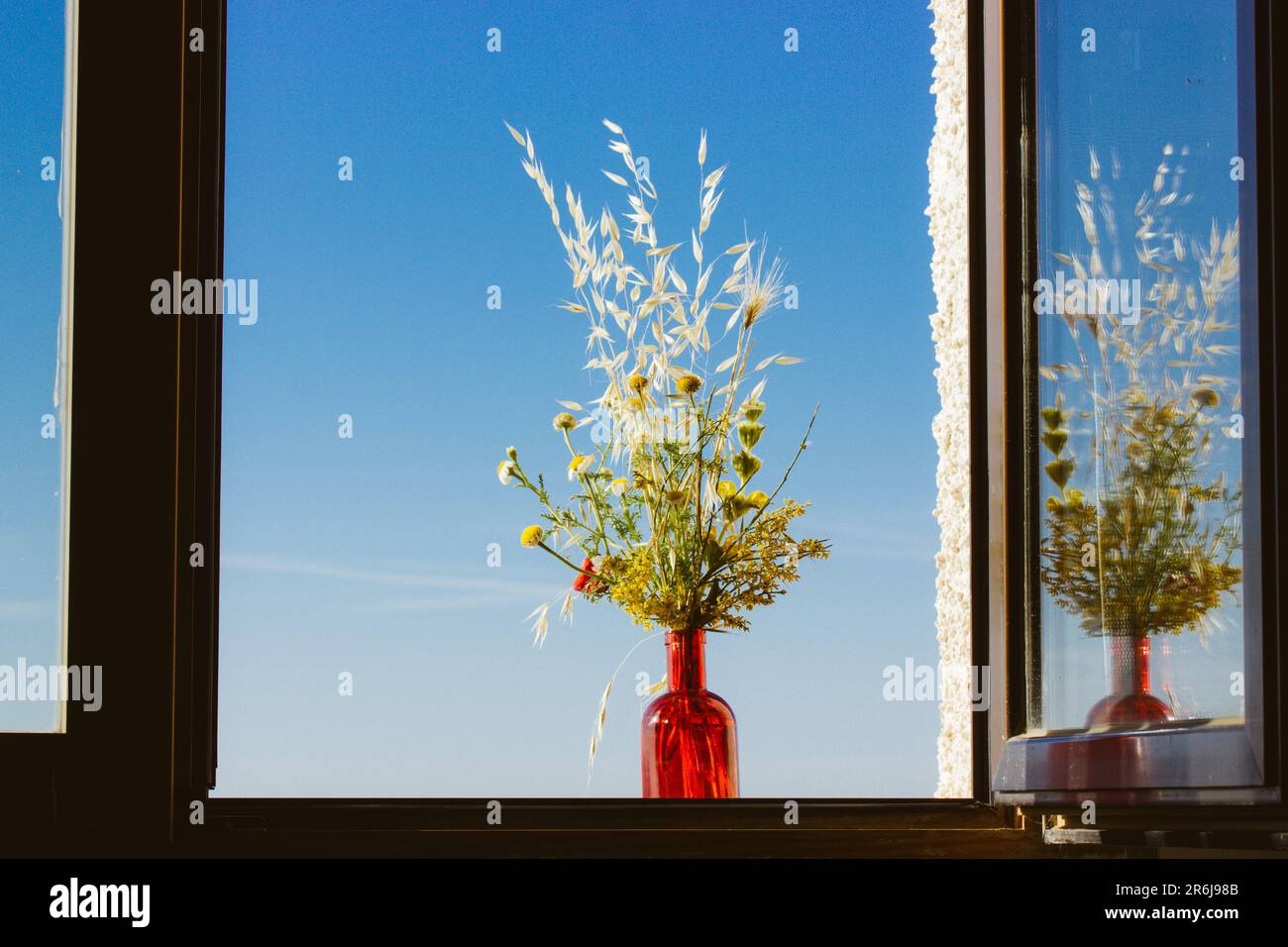 Bouquet of colorful wildflowers in a glass red vase on a window sill ...