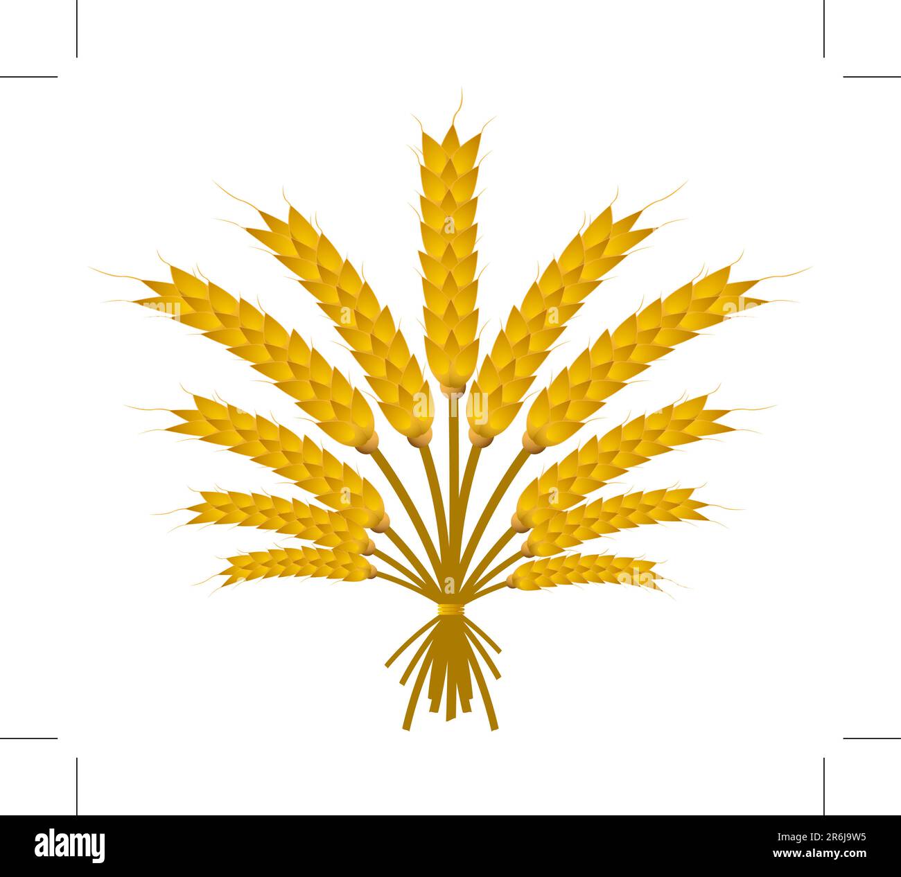 How to grow wheat field Stock Vector Images - Alamy