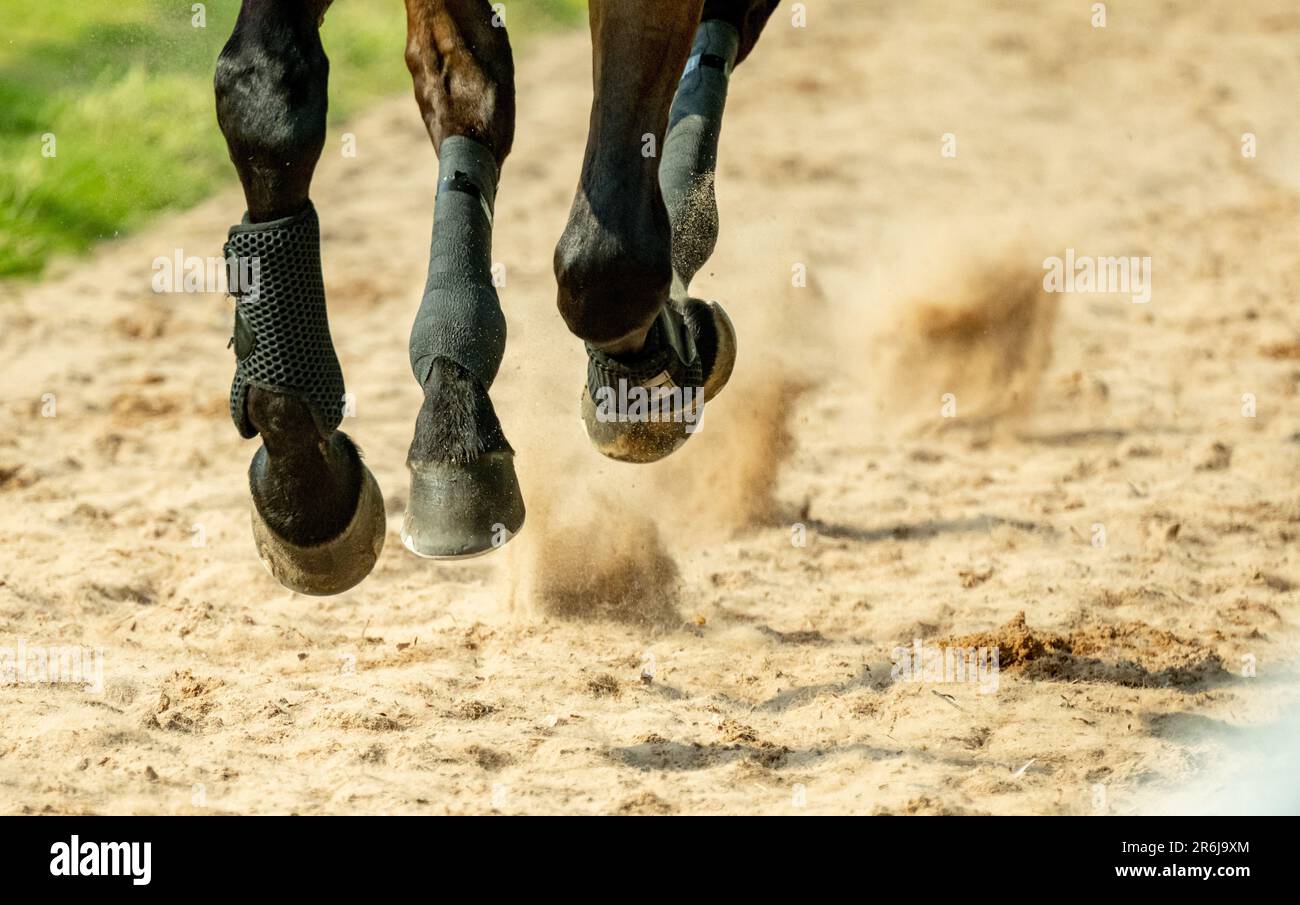 Jocckeys hi-res stock photography and images - Alamy