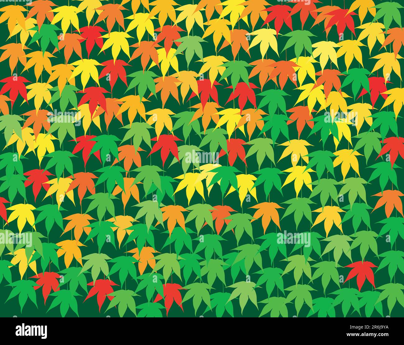 Fall color leaf change Stock Vector Images - Alamy