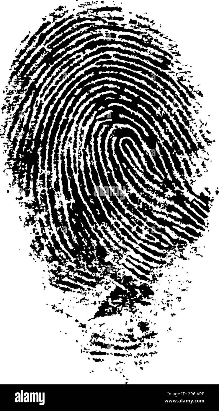 Black and White Vector Fingerprint - Very accurately scanned and traced ...