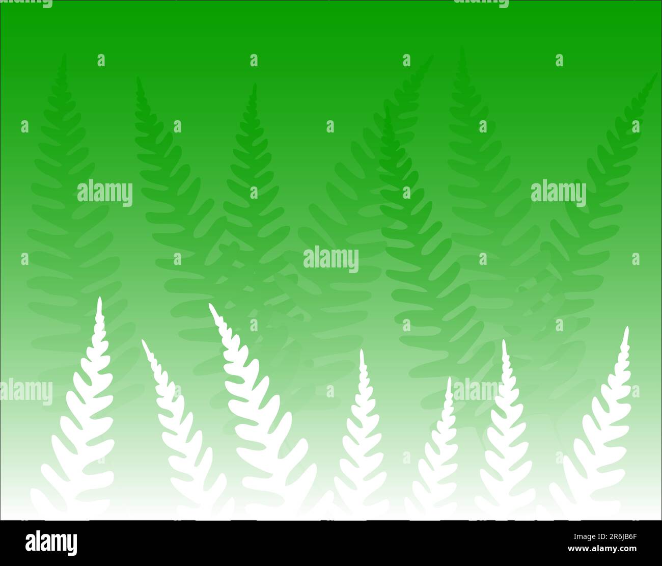Vector background of green fern leaves Stock Vector Image & Art - Alamy