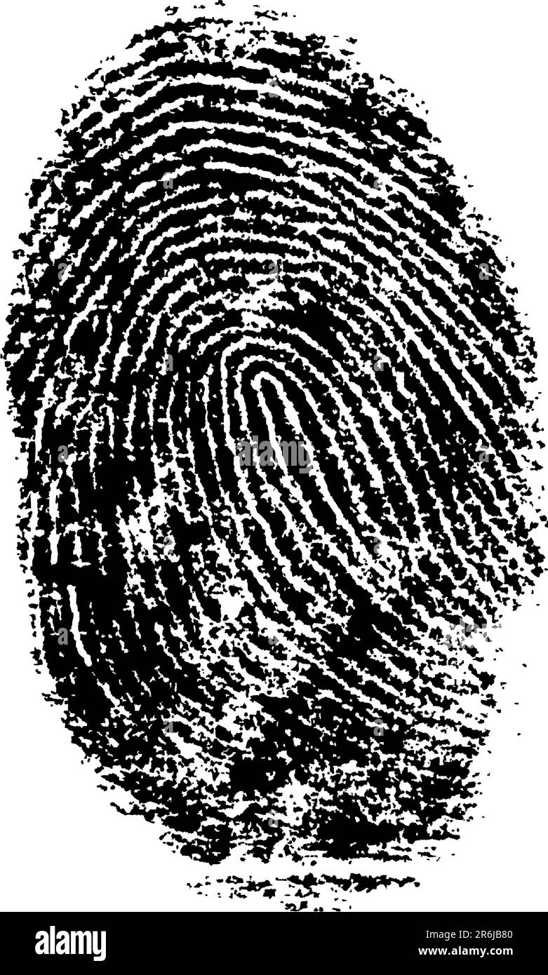 Black and White Vector Fingerprint - Very accurately scanned and traced ...