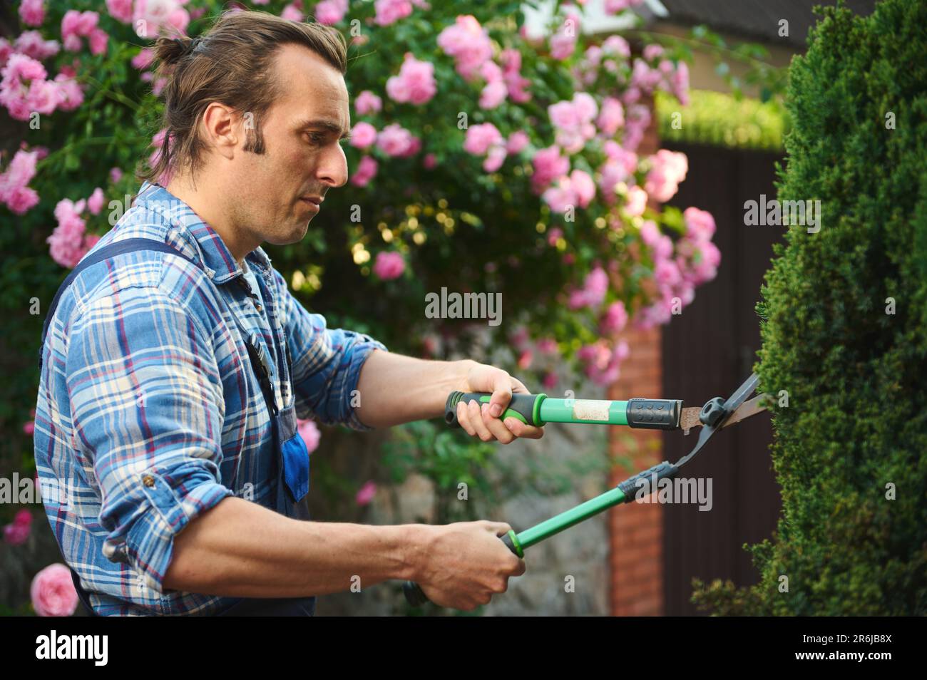 Side portrait of professional male gardener cutting plants, using ...