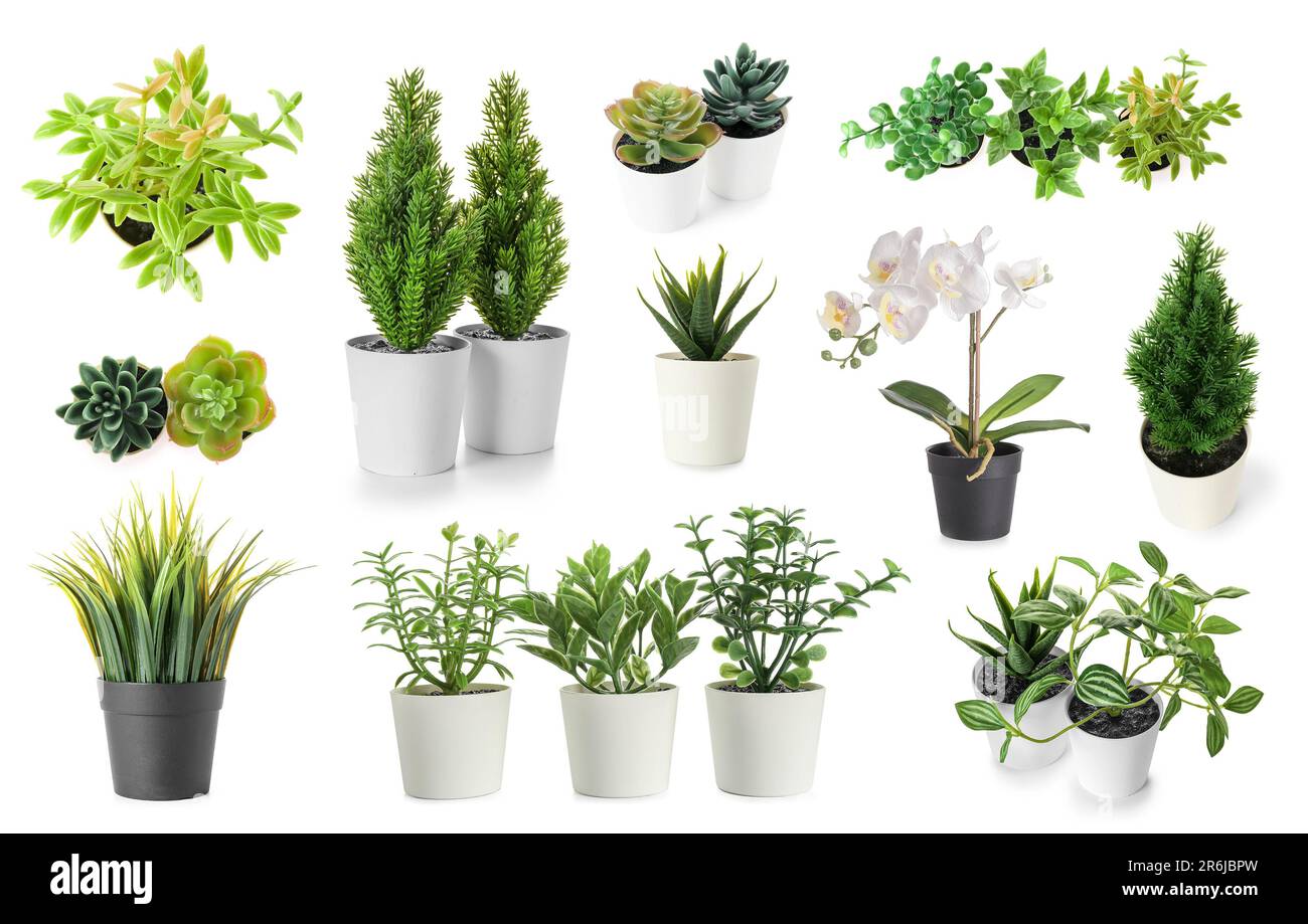 Set of artificial plants on white background Stock Photo - Alamy