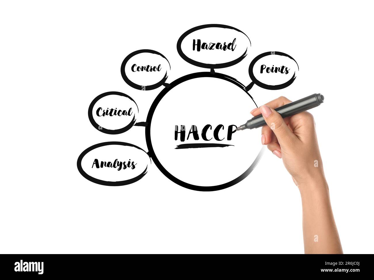 Female hand with marker writing diagram with components of HACCP ...