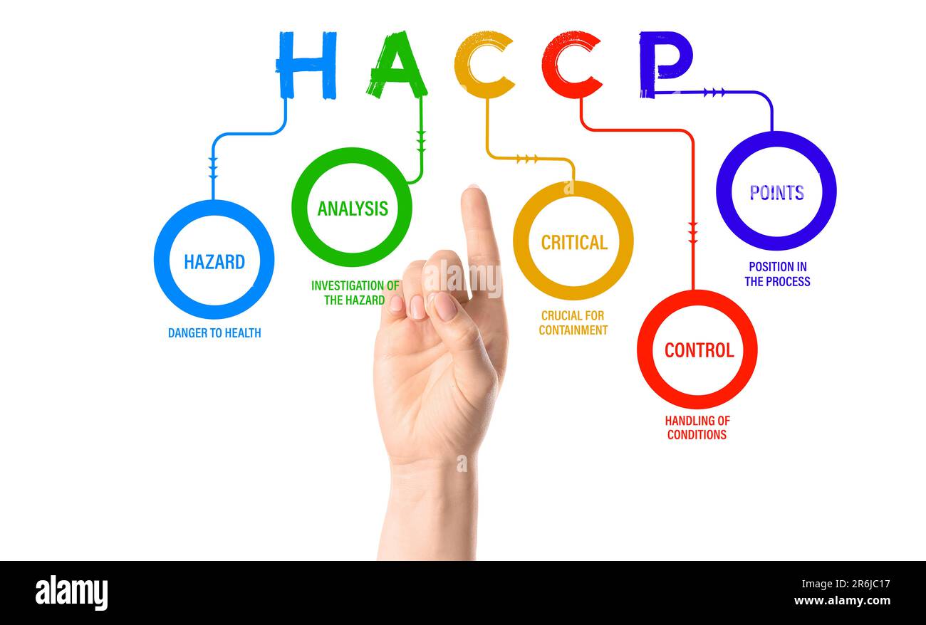 Female hand pointing at diagram with components of HACCP (Hazard ...