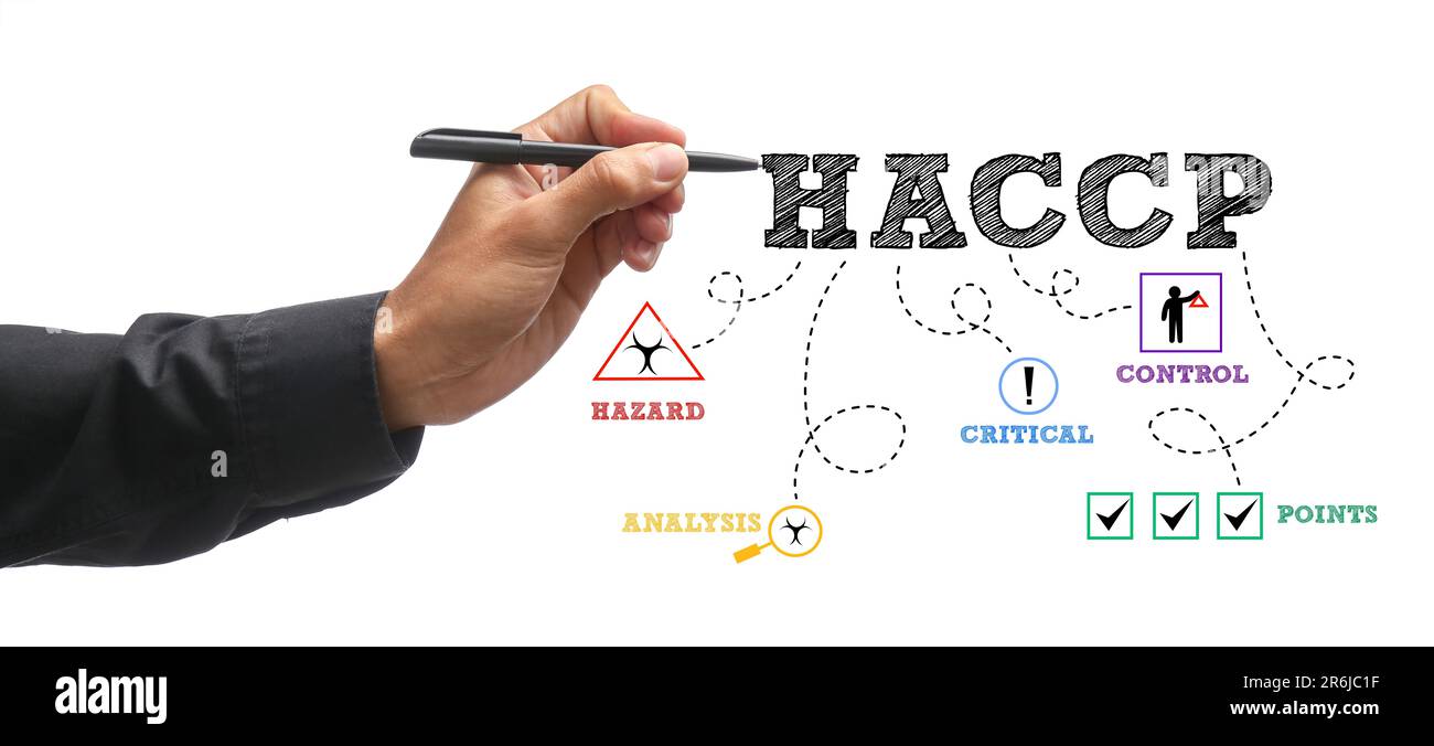 Male hand with pen writing diagram with components of HACCP (Hazard ...
