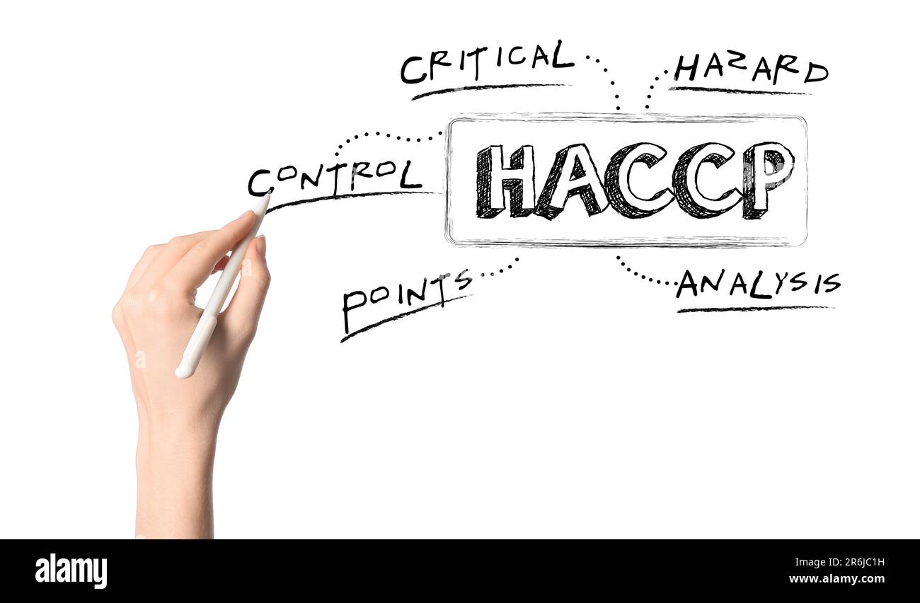 Female hand with pen writing diagram with components of HACCP (Hazard ...