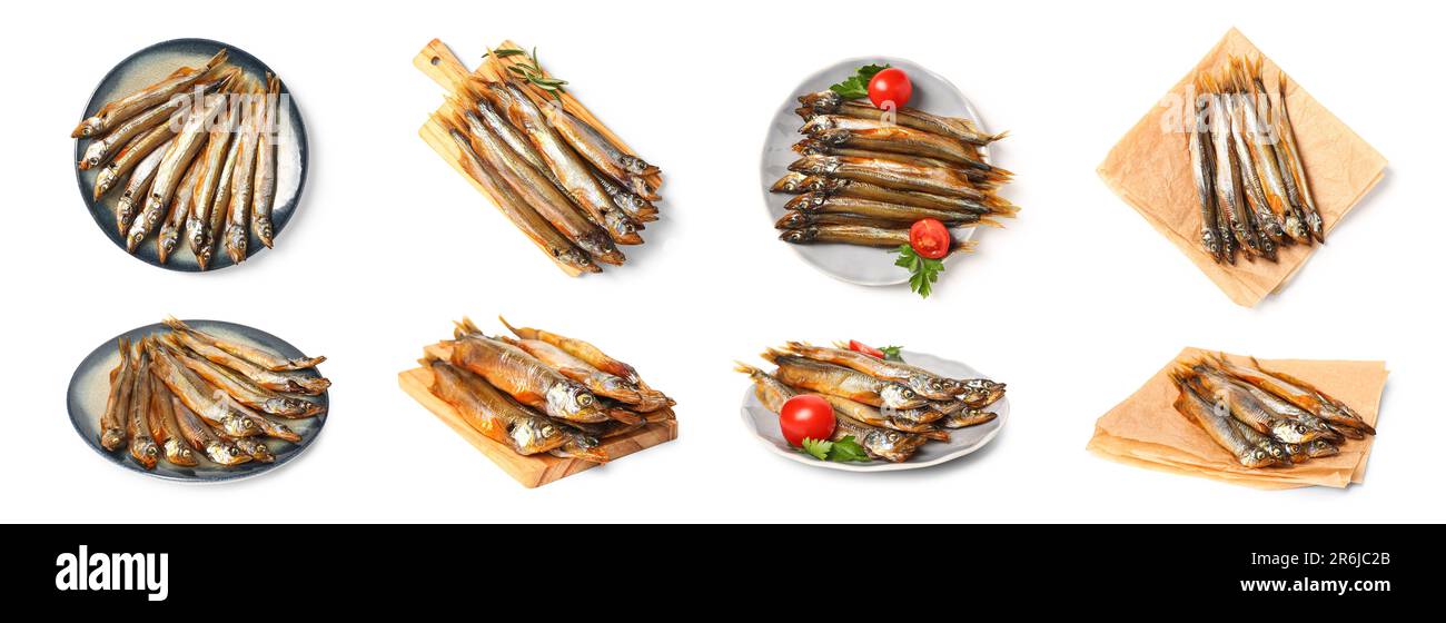 Collage of delicious smoked capelin fish on white background Stock ...