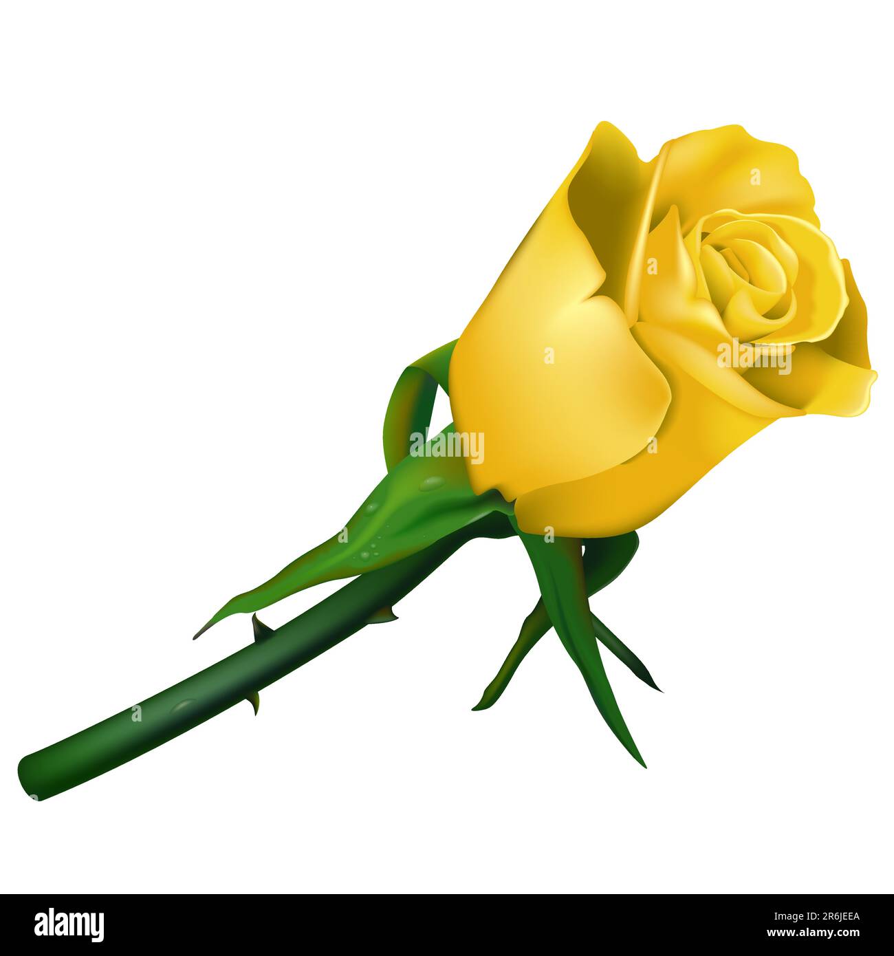 Detailed picture of rose Stock Vector Images - Alamy