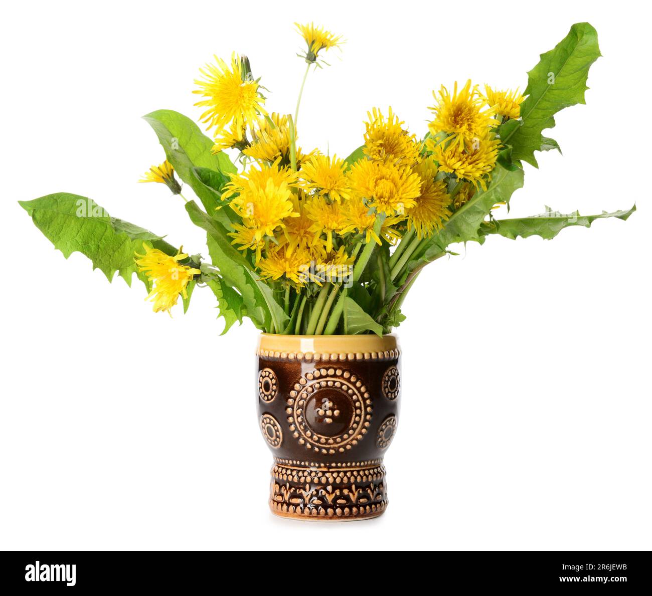 Vase with beautiful dandelion flowers on white background Stock Photo ...