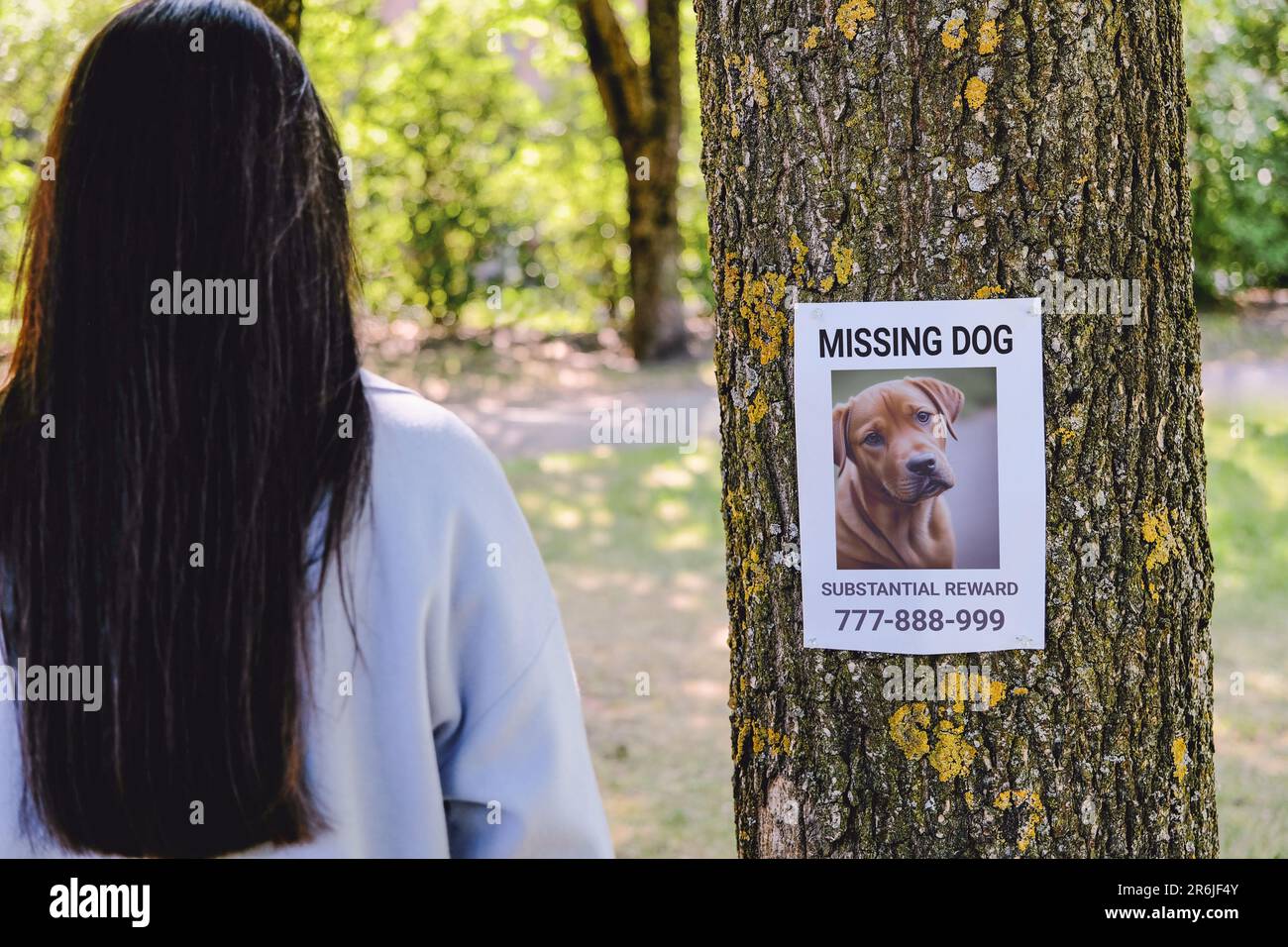 Missing flyer hi-res stock photography and images - Alamy