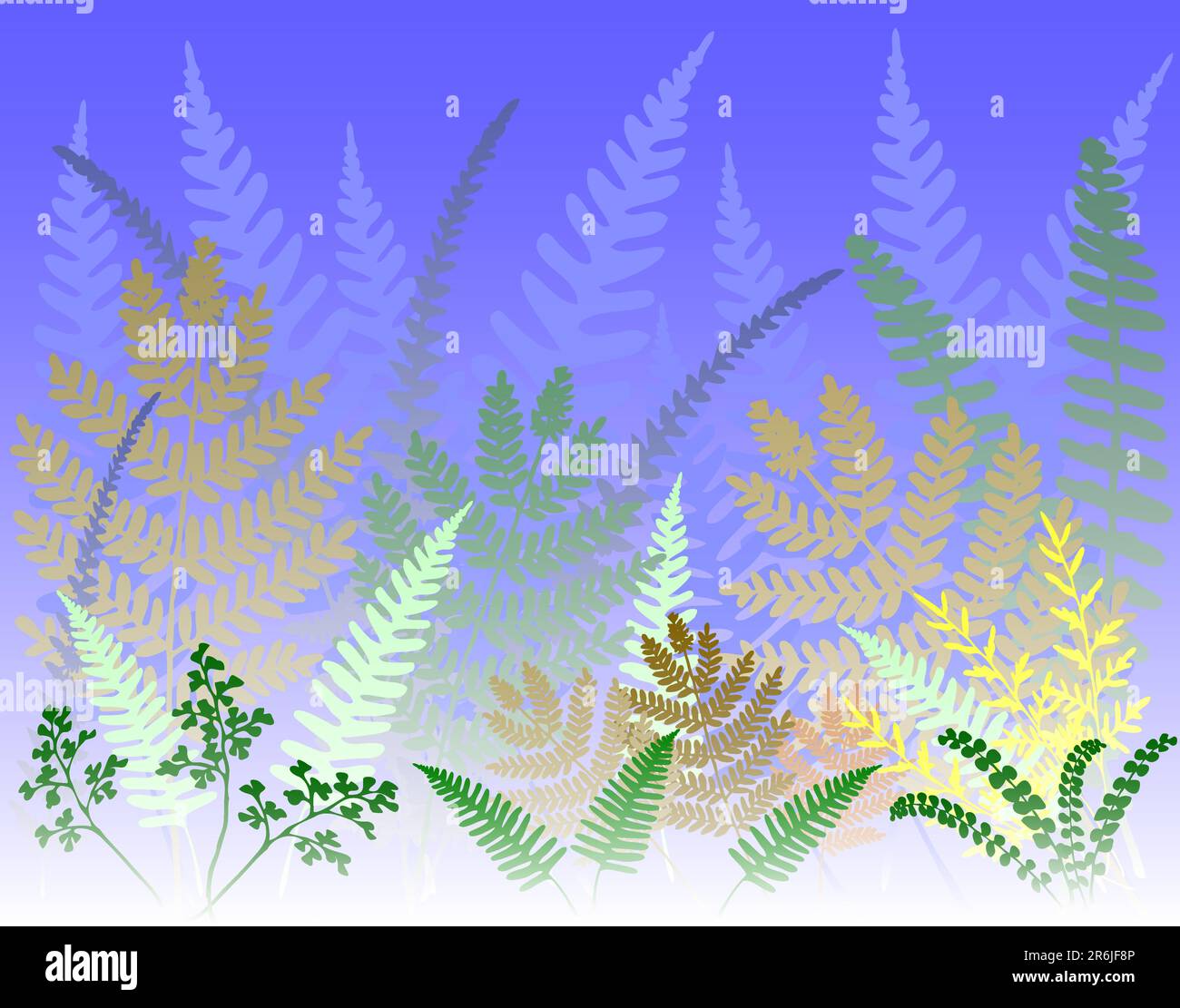 Vector background design of various fern fronds Stock Vector Image ...