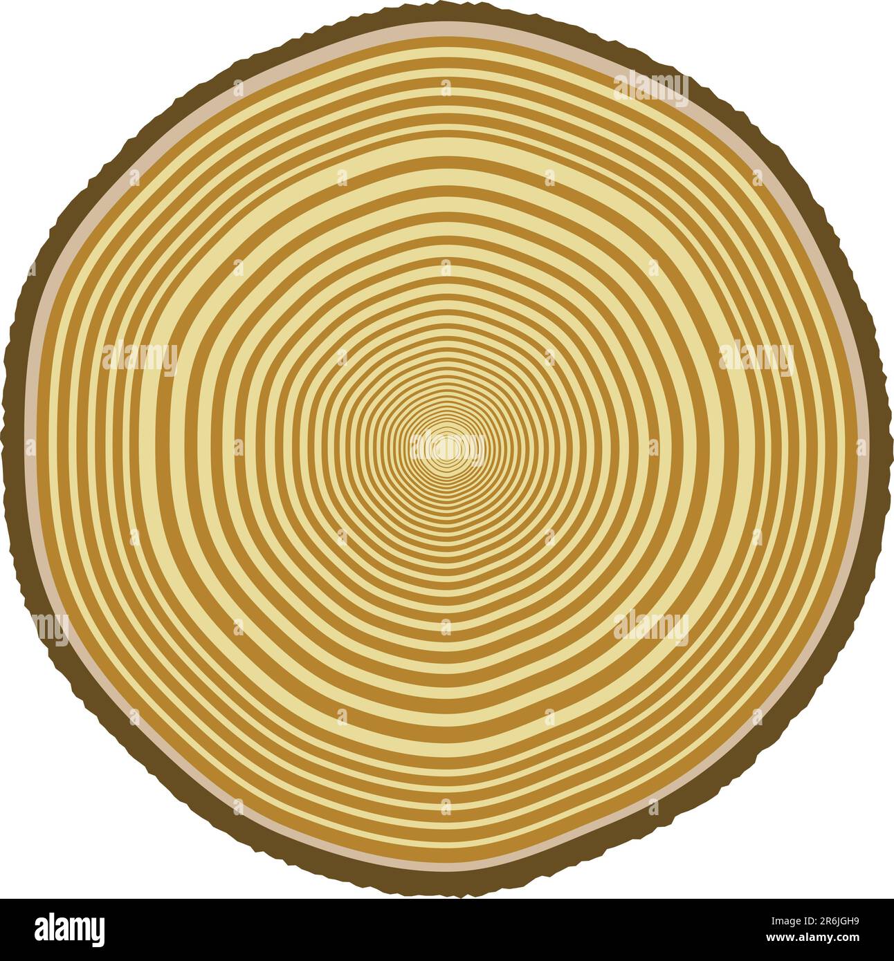 Vector illustration of tree rings from a 33-year-old tree Stock Vector ...