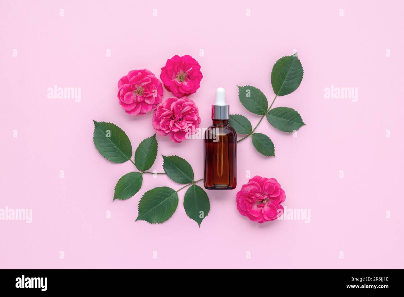 Facial view hi-res stock photography and images - Alamy