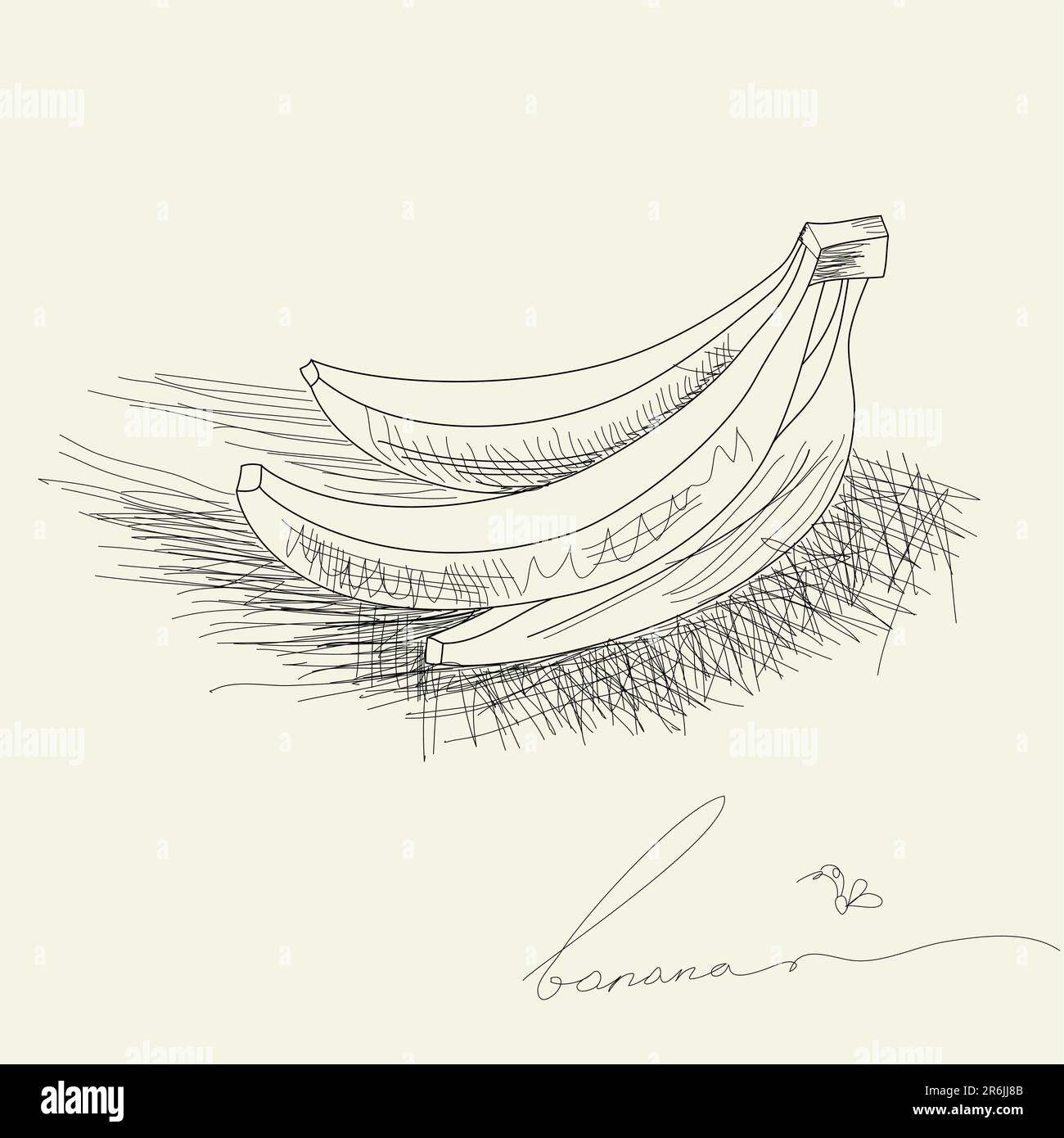 Doodle color tropical banana Stock Vector Images - Alamy