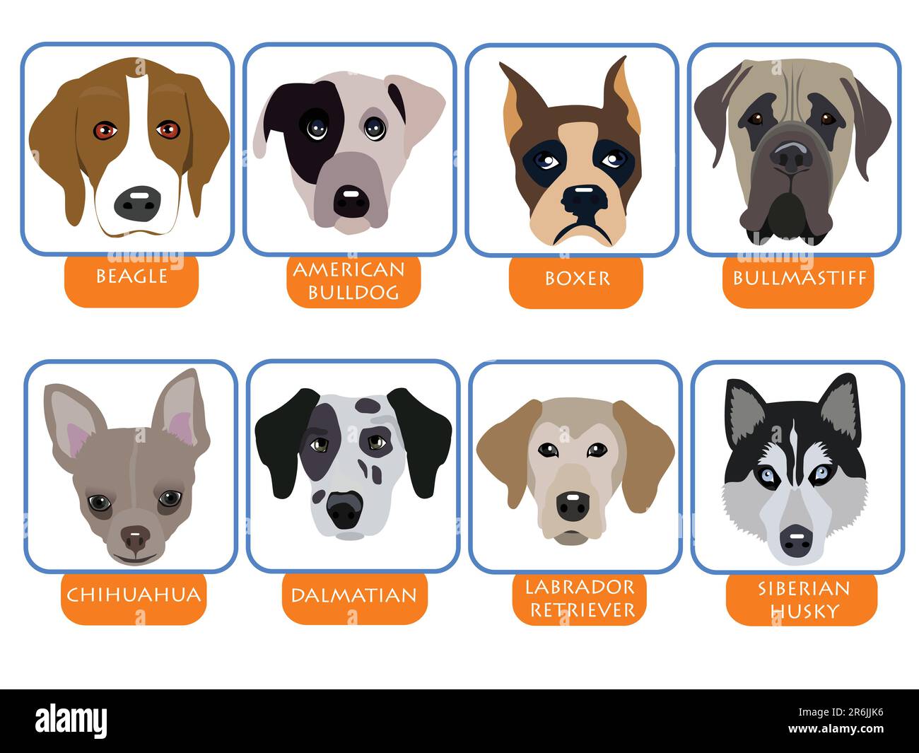 illustration of purebred dogs, cartoon dog portraits Stock Vector Image ...