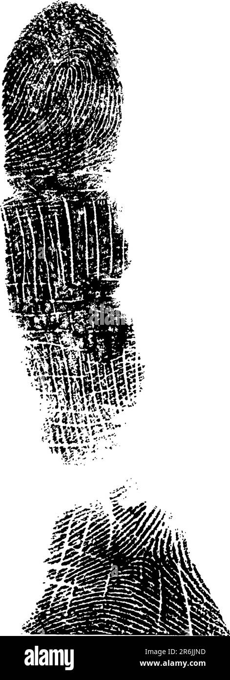 Full Finger FingerPrint (Very Detailed Vector Image Stock Vector Image ...