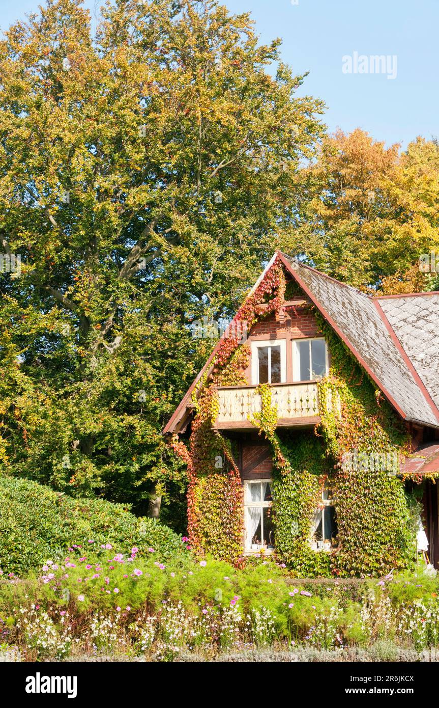 An ivy clad house situated at ramlosa brunnspark on the outskirts of ...