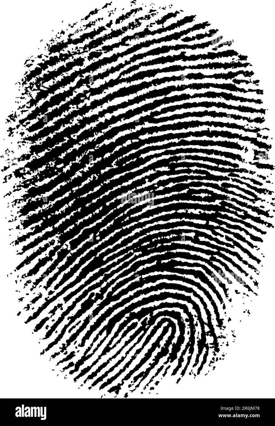 Black and White Vector Fingerprint - Very accurately scanned and traced ...