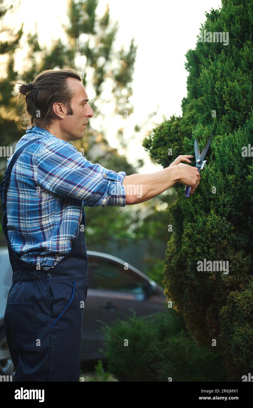 Landscaper trimming bushes in backyard hi-res stock photography and ...