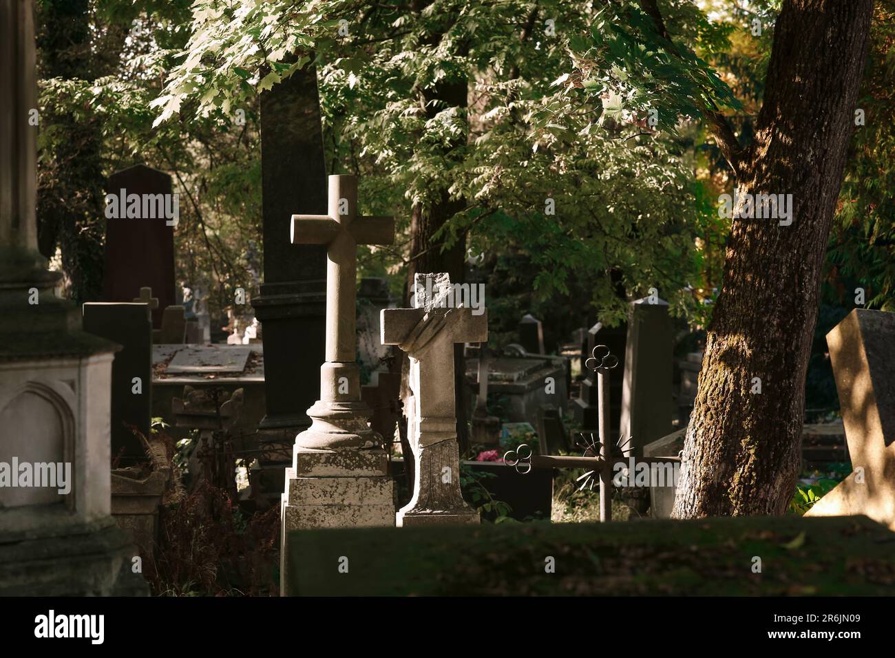 Many concrete tombstones on cemetery. Funeral ceremony Stock Photo - Alamy