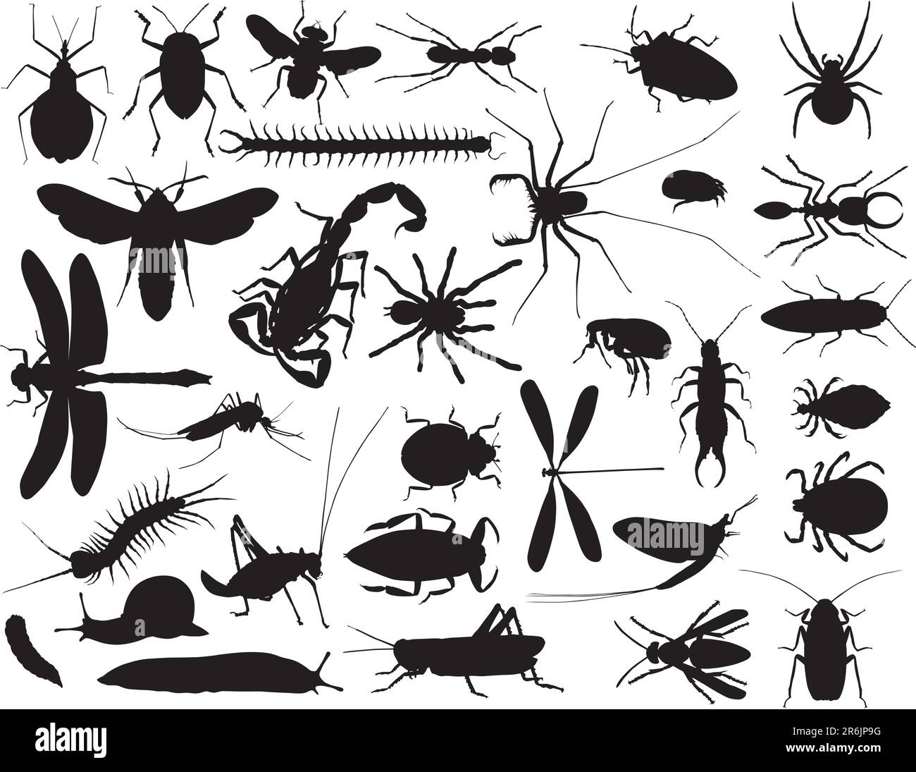 Collection of vector outlines of insects and other invertebrates Stock ...