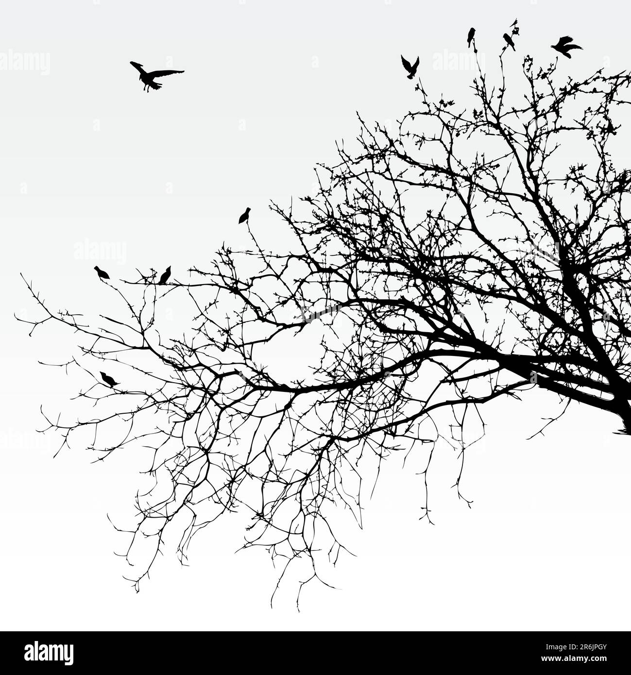 vector illustration of some branches of a tree Stock Vector Image & Art ...