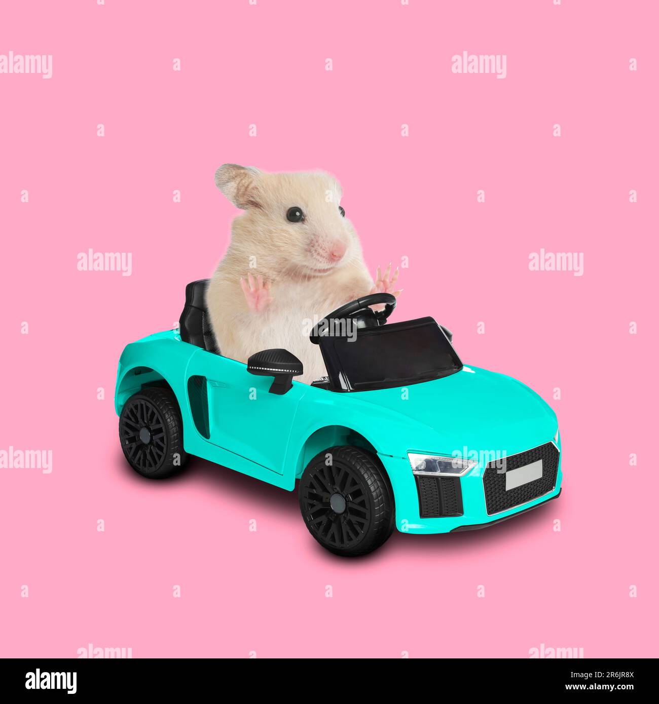 Cute Syrian hamster in toy car on pink background Stock Photo - Alamy