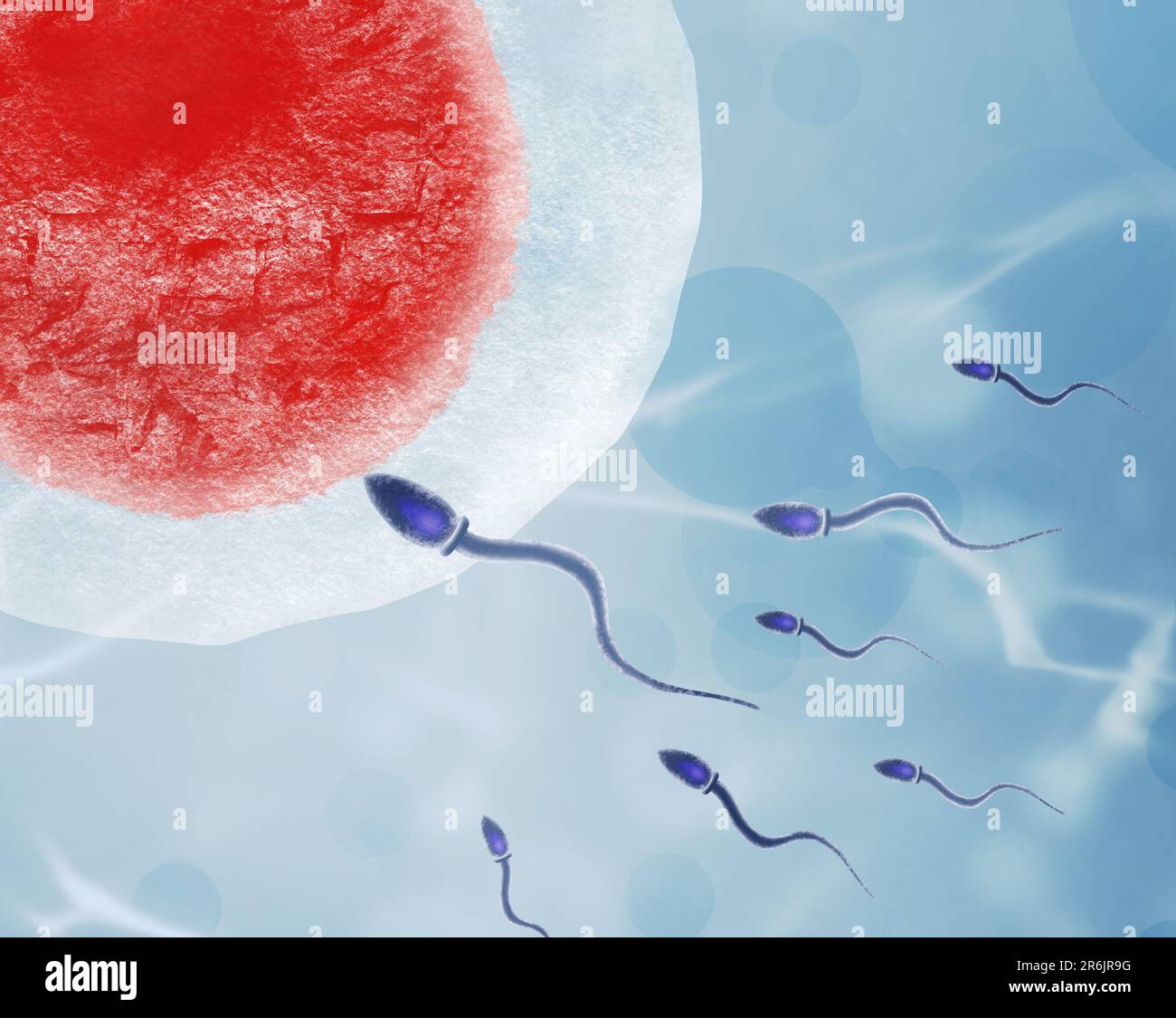 Cryopreservation of genetic material. Sperm cells and ovum on light ...
