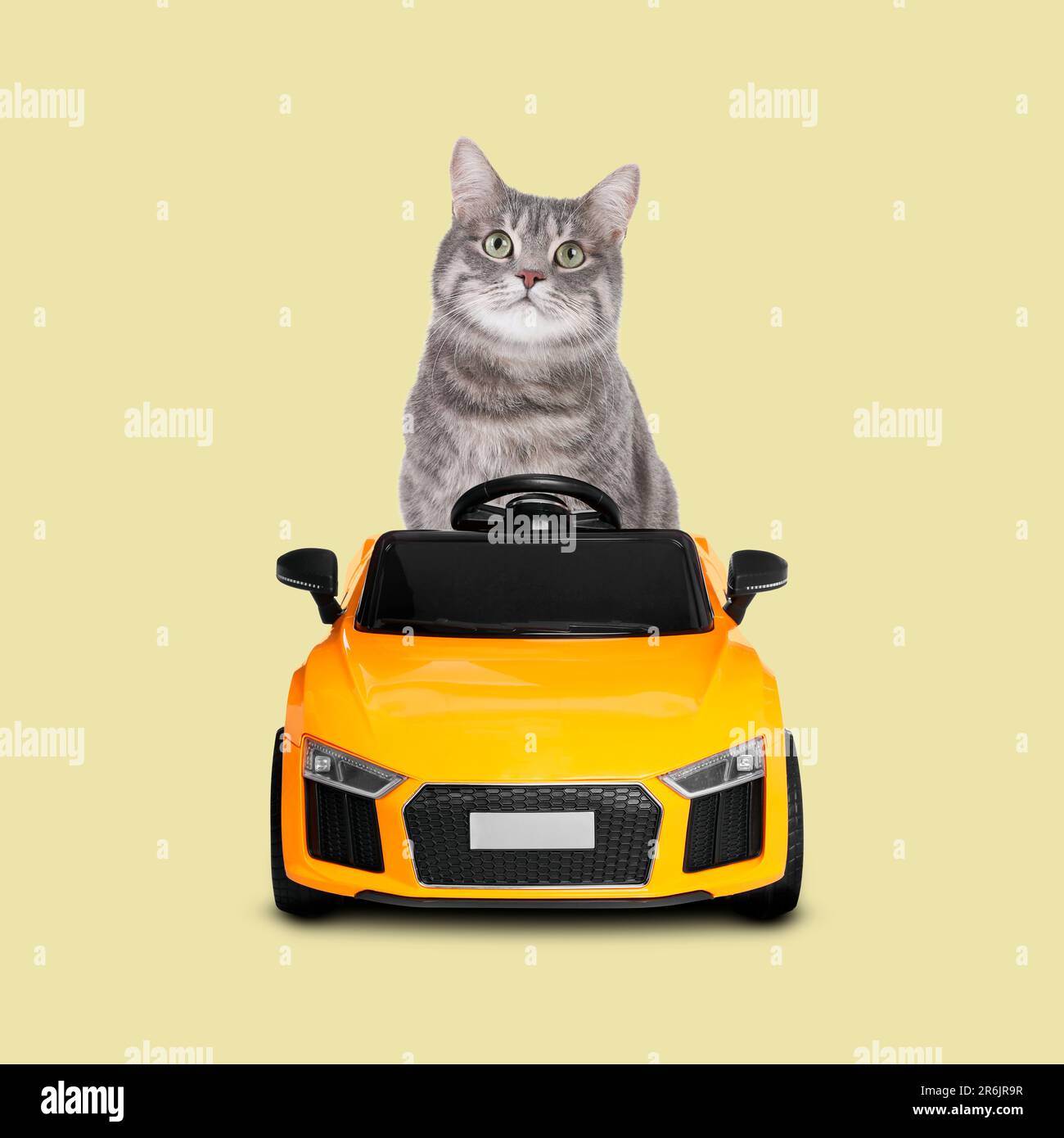 Cute tabby cat in toy car on pale light yellow background Stock Photo ...