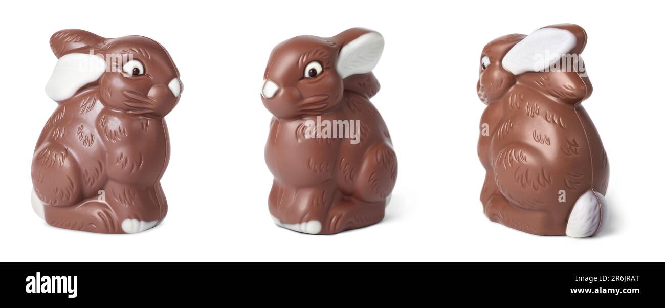 Tasty chocolate bunny on white background, different sides Stock Photo ...