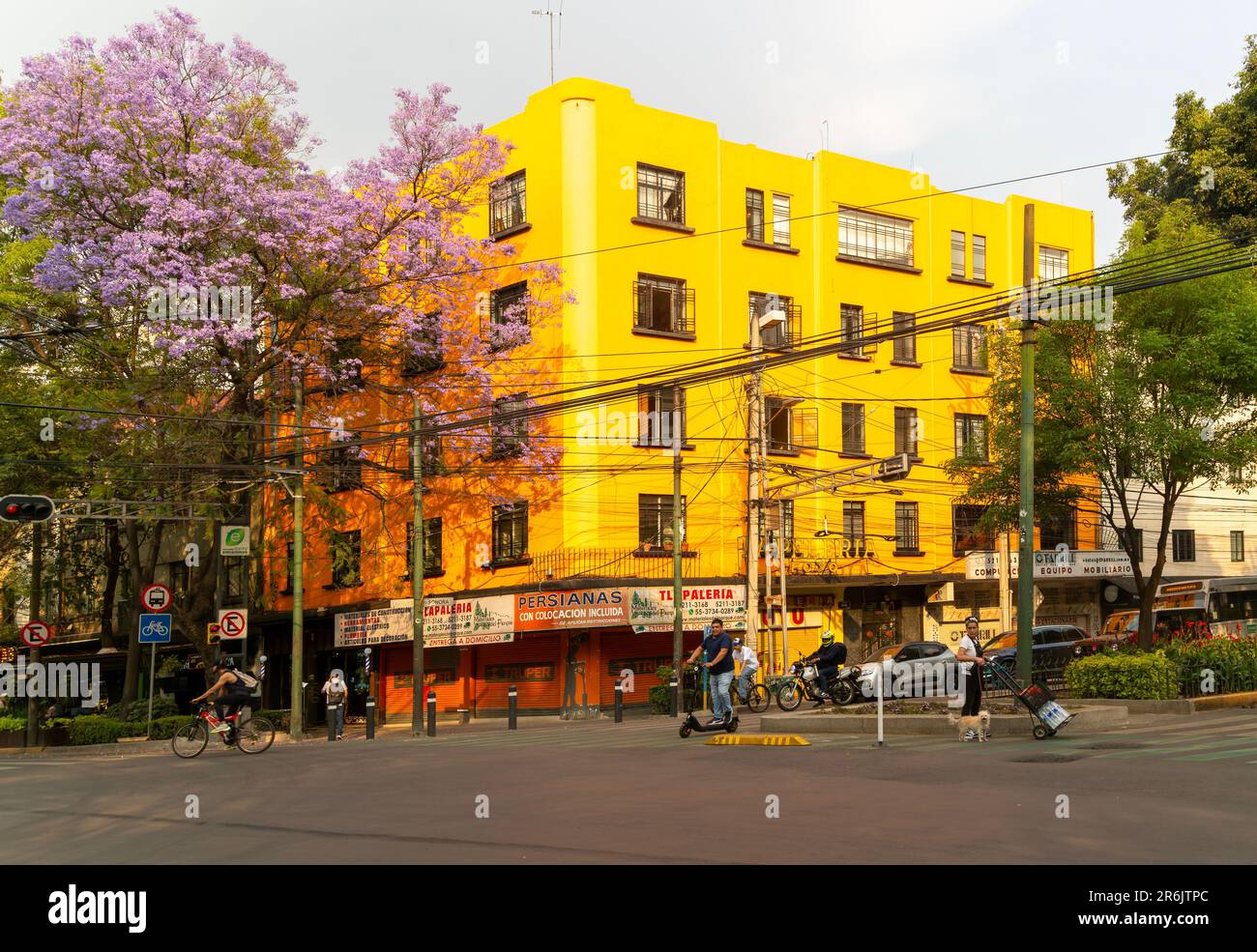 Bright colourful yellow buildings and jacaranda tree, La Condessa ...