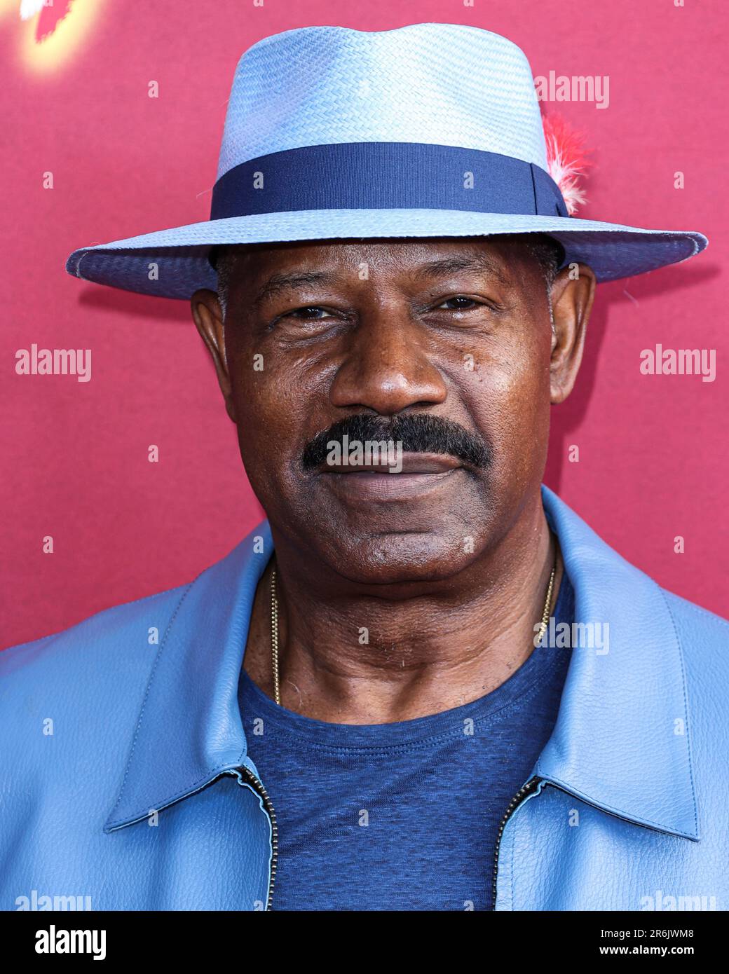 Actor Haysbert 60 Photos - Moonagedaydream.film