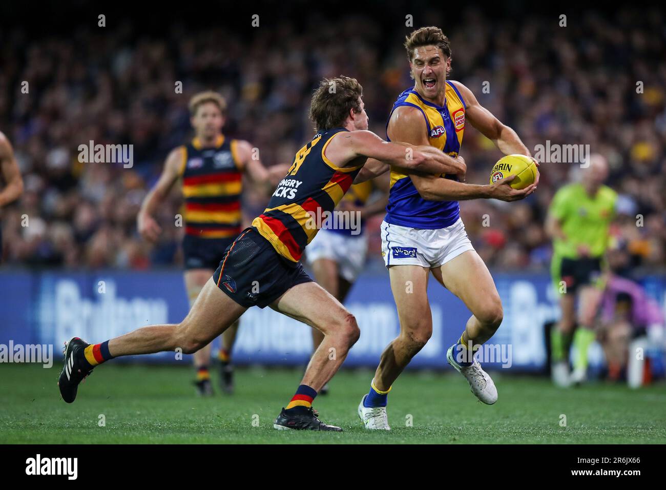 Adelaide, Australia. 10th June, 2023. Greg Clark of the Eagles is ...