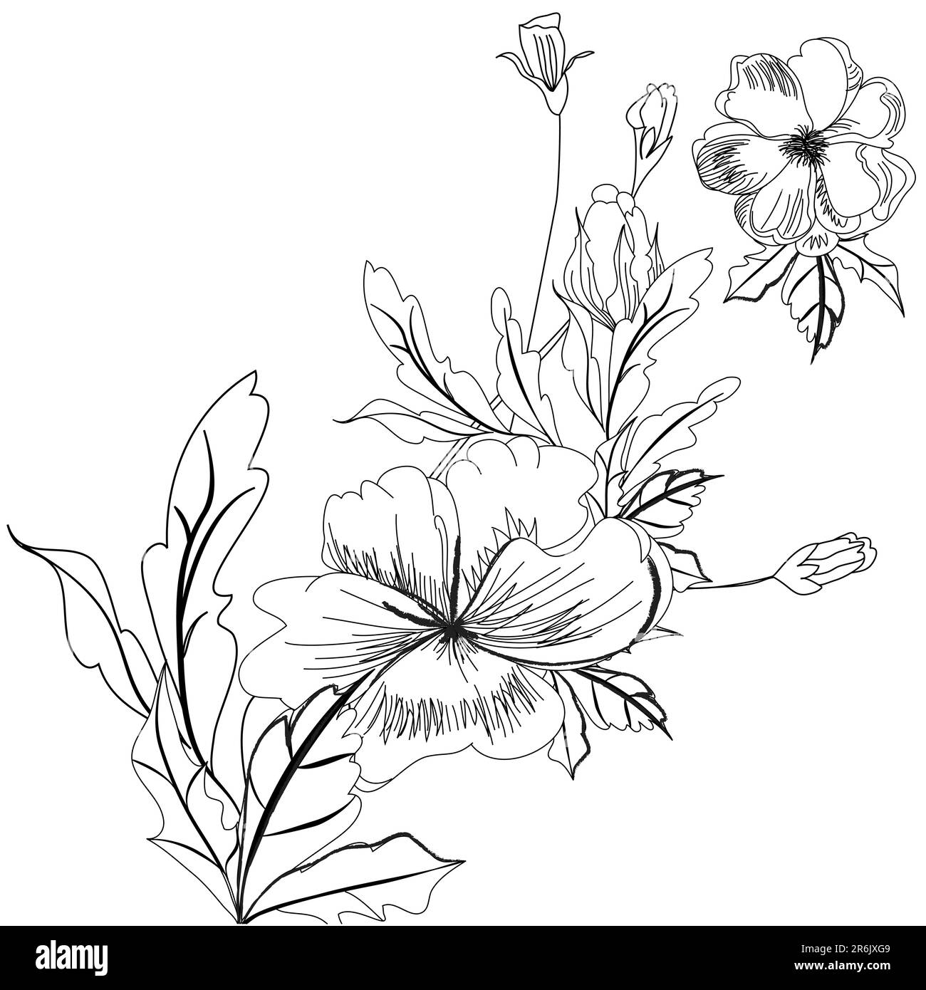 Wedding card sketch picture Black and White Stock Photos & Images - Alamy