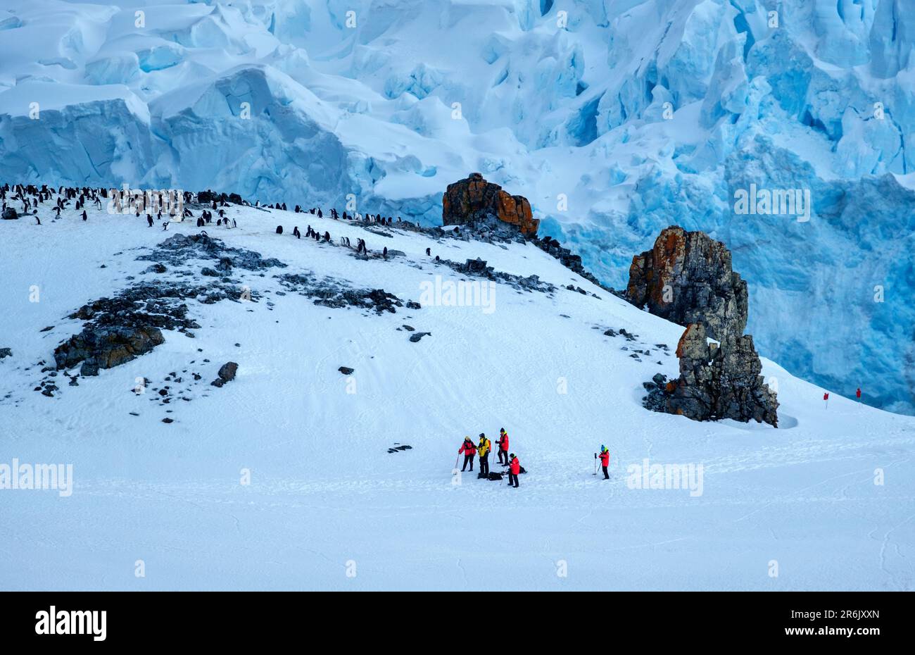 Hikers climbing Half Moon Island, South Shetland Islands, Antarctica ...