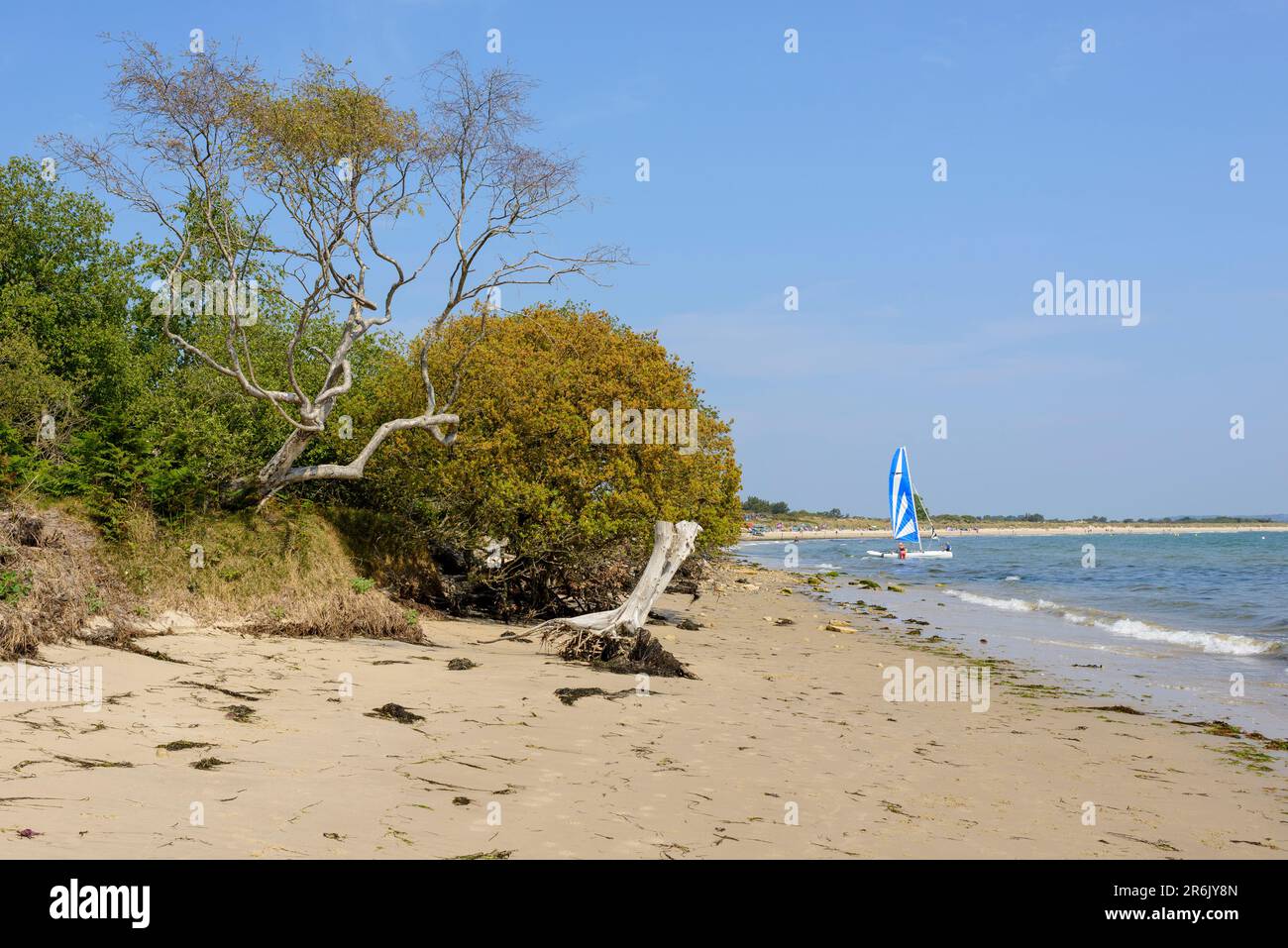 Studland bay boat hi-res stock photography and images - Alamy