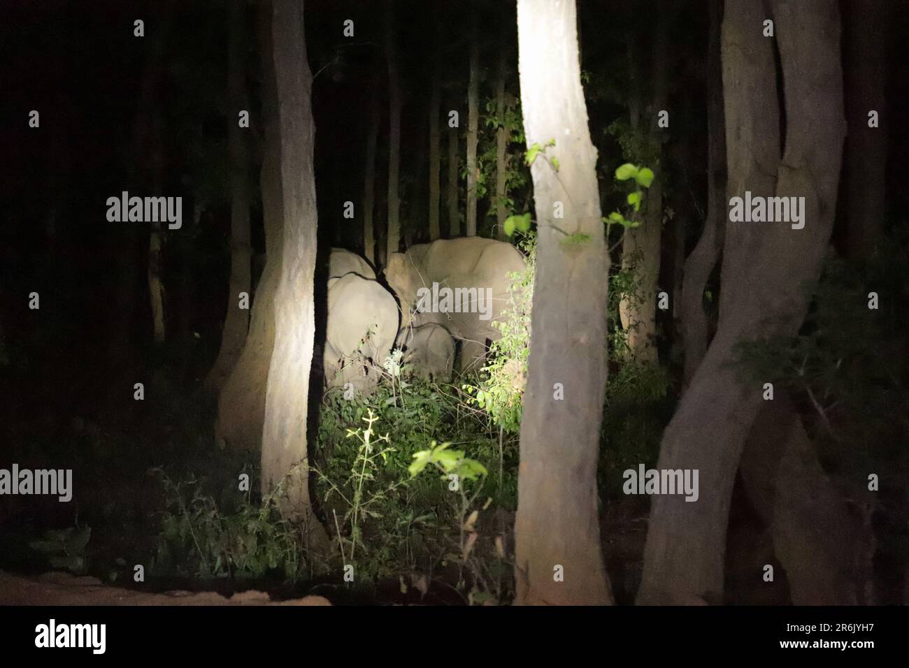 June 7, 2023, Chakulia, Jharkhand, India: The tranquil area ...