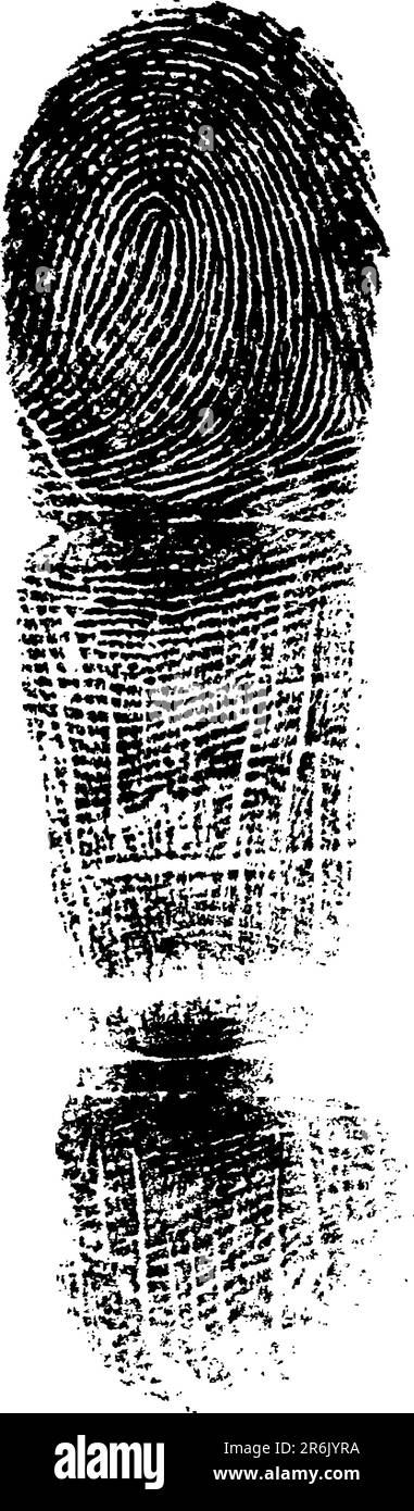 Full Finger FingerPrint (Very Detailed Vector Image Stock Vector Image ...