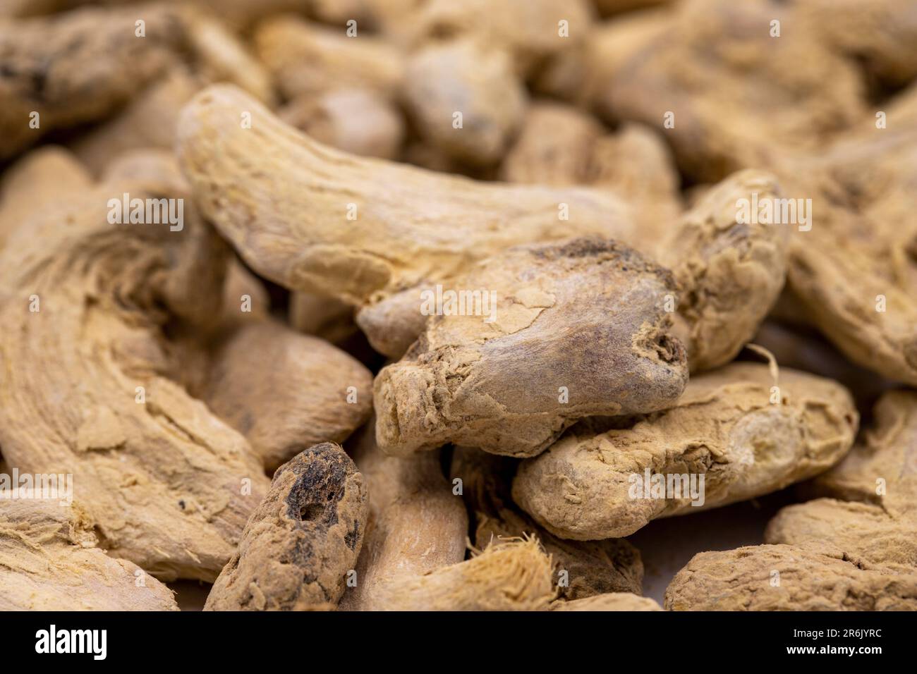 Indian dry ginger hi-res stock photography and images - Alamy