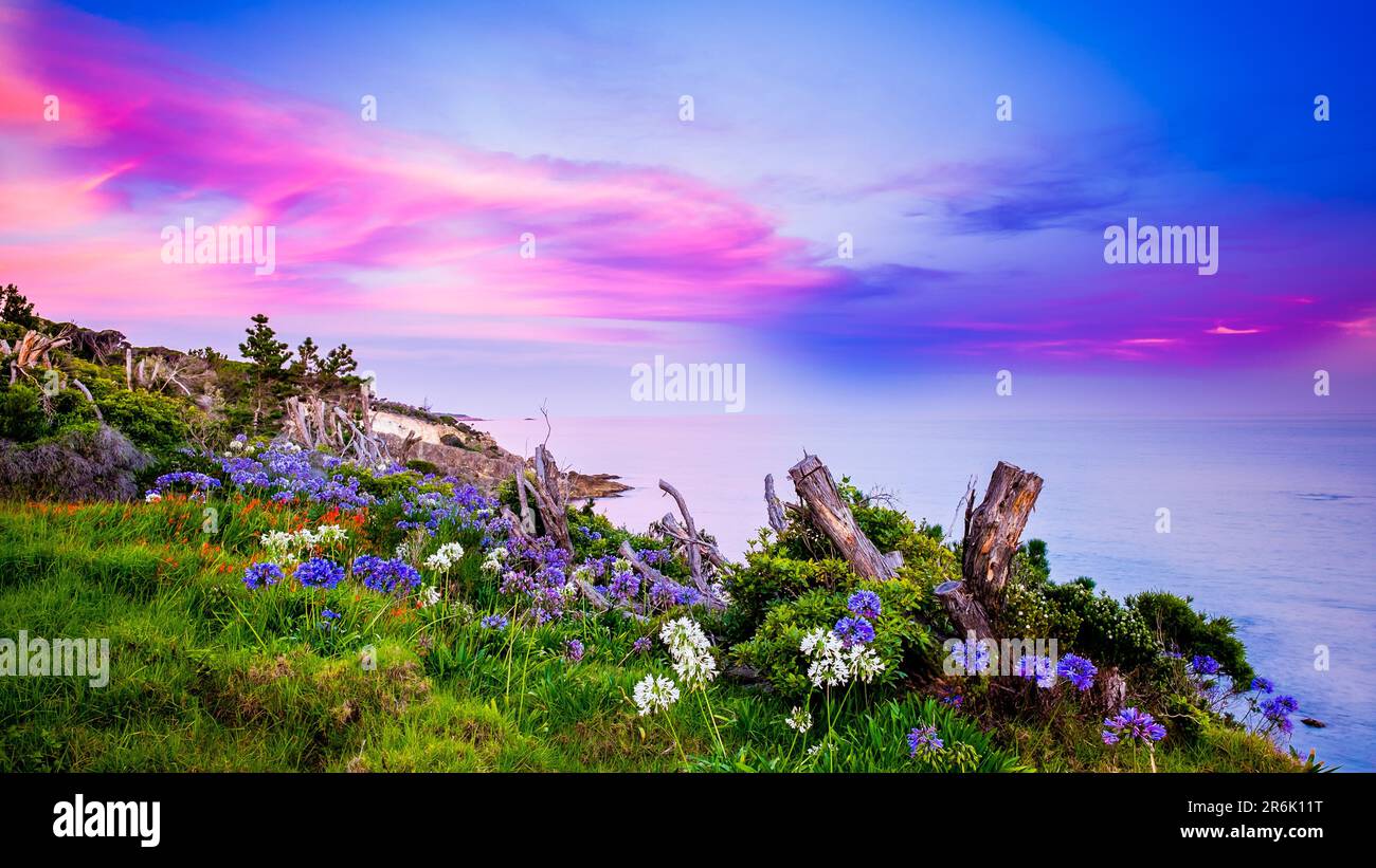 Coastline of Eden in Australia Stock Photo - Alamy