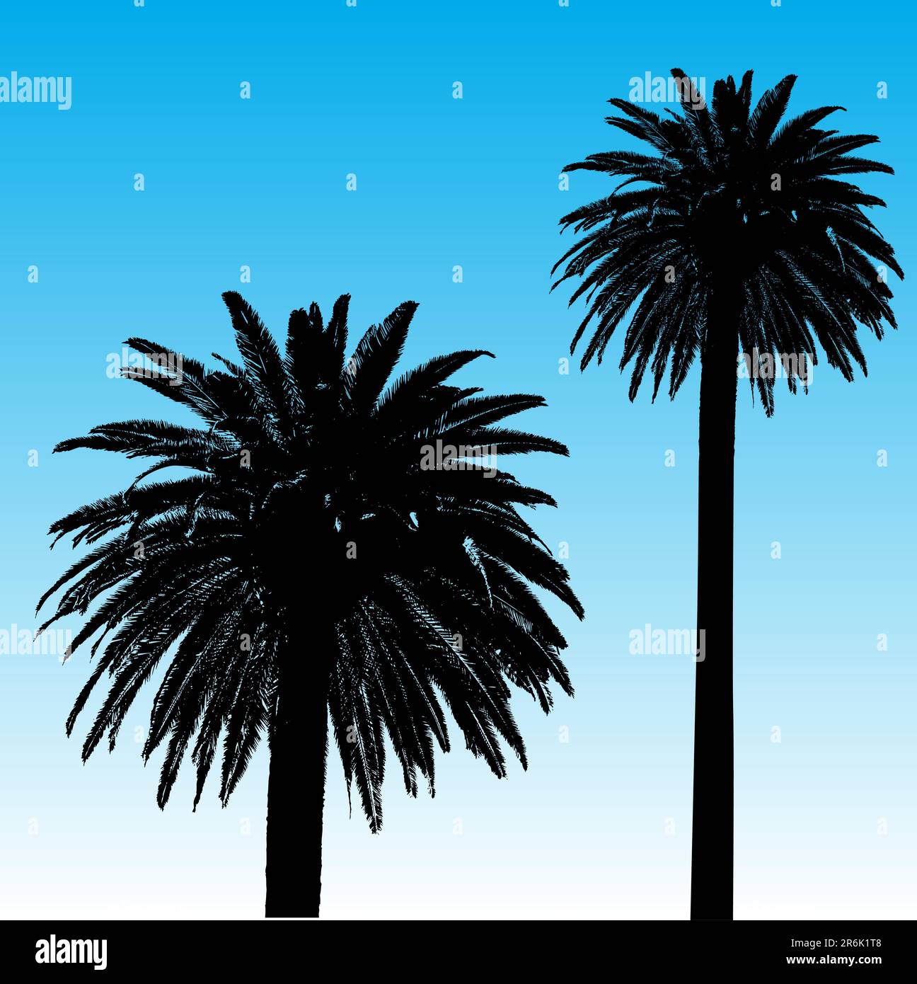 An image of a palm tree background Stock Vector Image & Art - Alamy