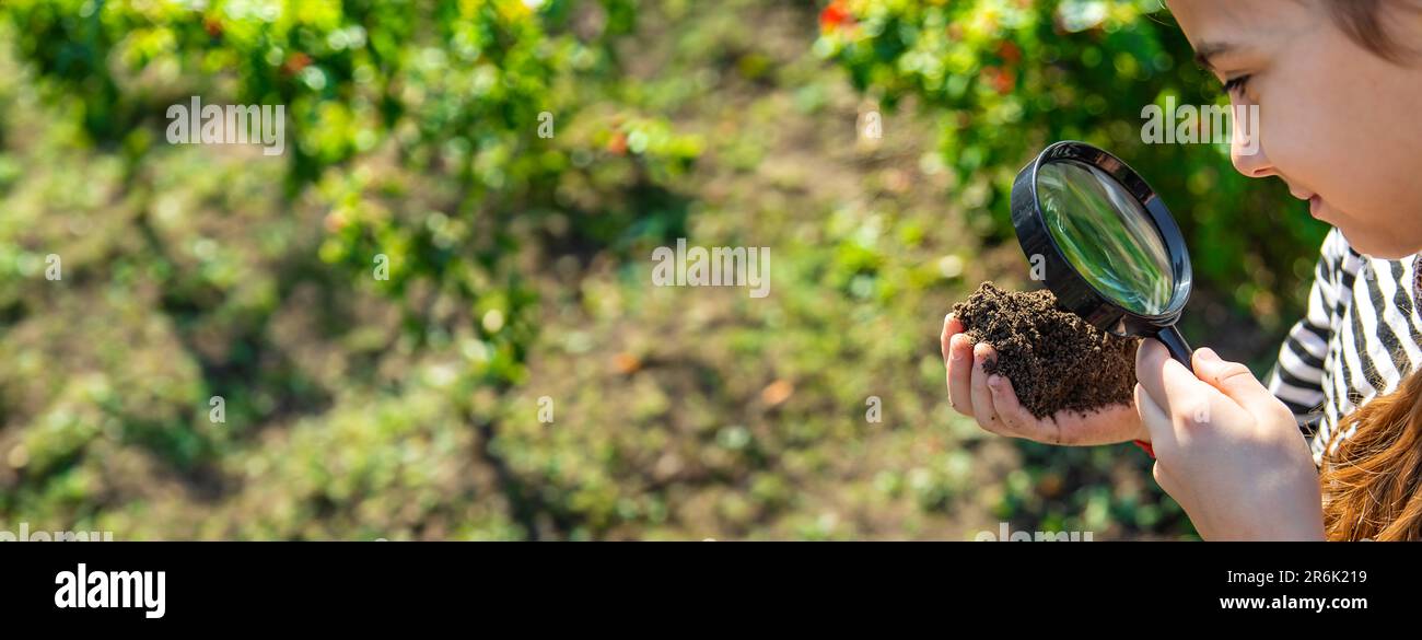 Children examine the soil with a magnifying glass. Selective focus. Kid ...