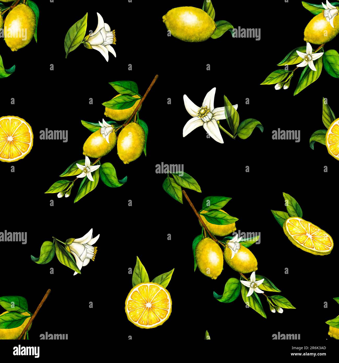 Watercolor seamless pattern lemon tree branch and slice. Hand drawn ...
