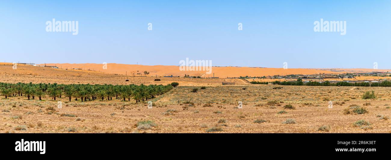 Saudi agriculture hi-res stock photography and images - Alamy