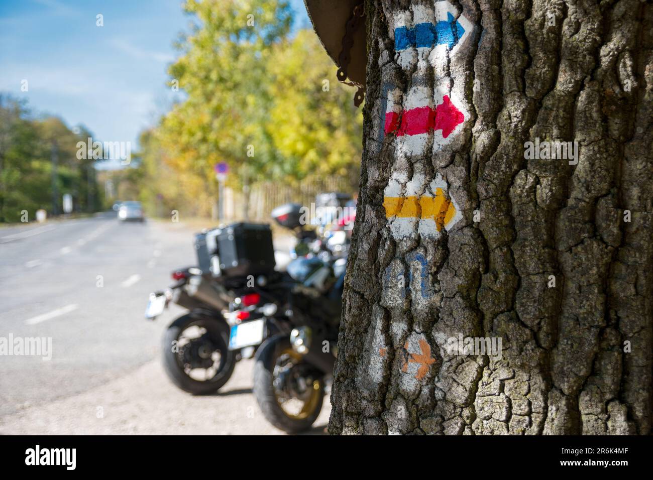 Tree with hiking trail pointers, motorcycles Stock Photo - Alamy