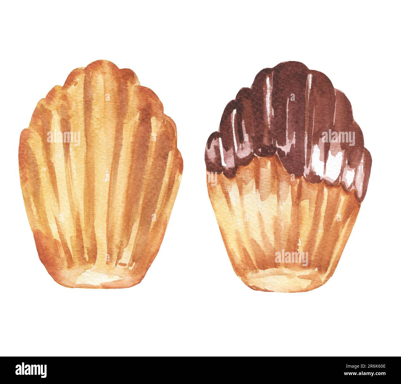 Madeleine art cake hi-res stock photography and images - Alamy