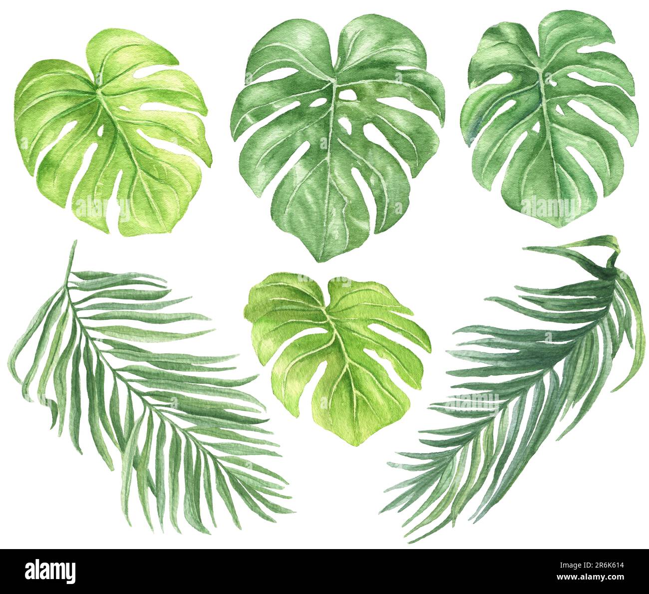 Watercolor palm leaves set, hand drawn colorful tropical botanical ...